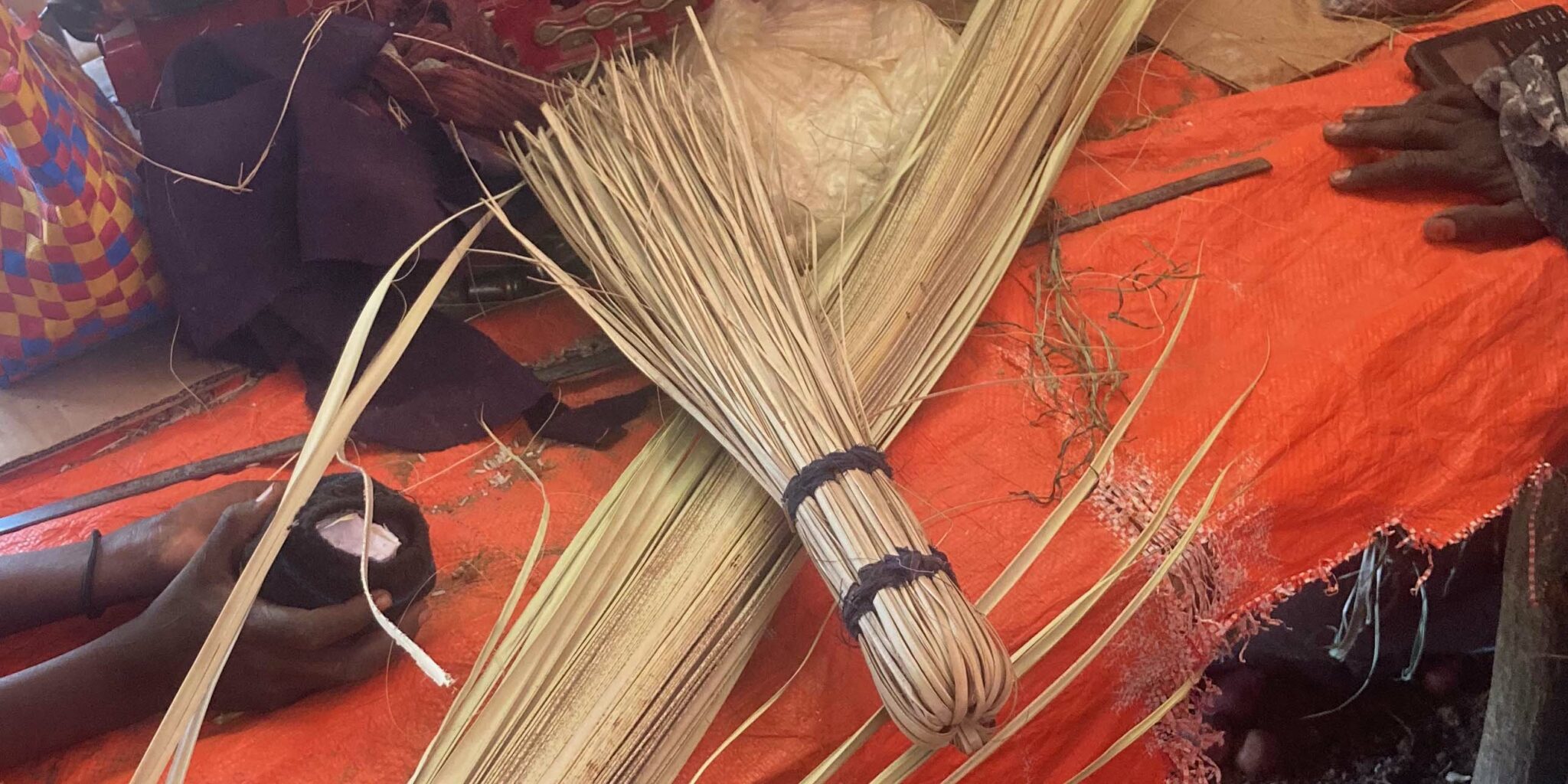 Hand Palm Broom – Inteligencias Colectivas